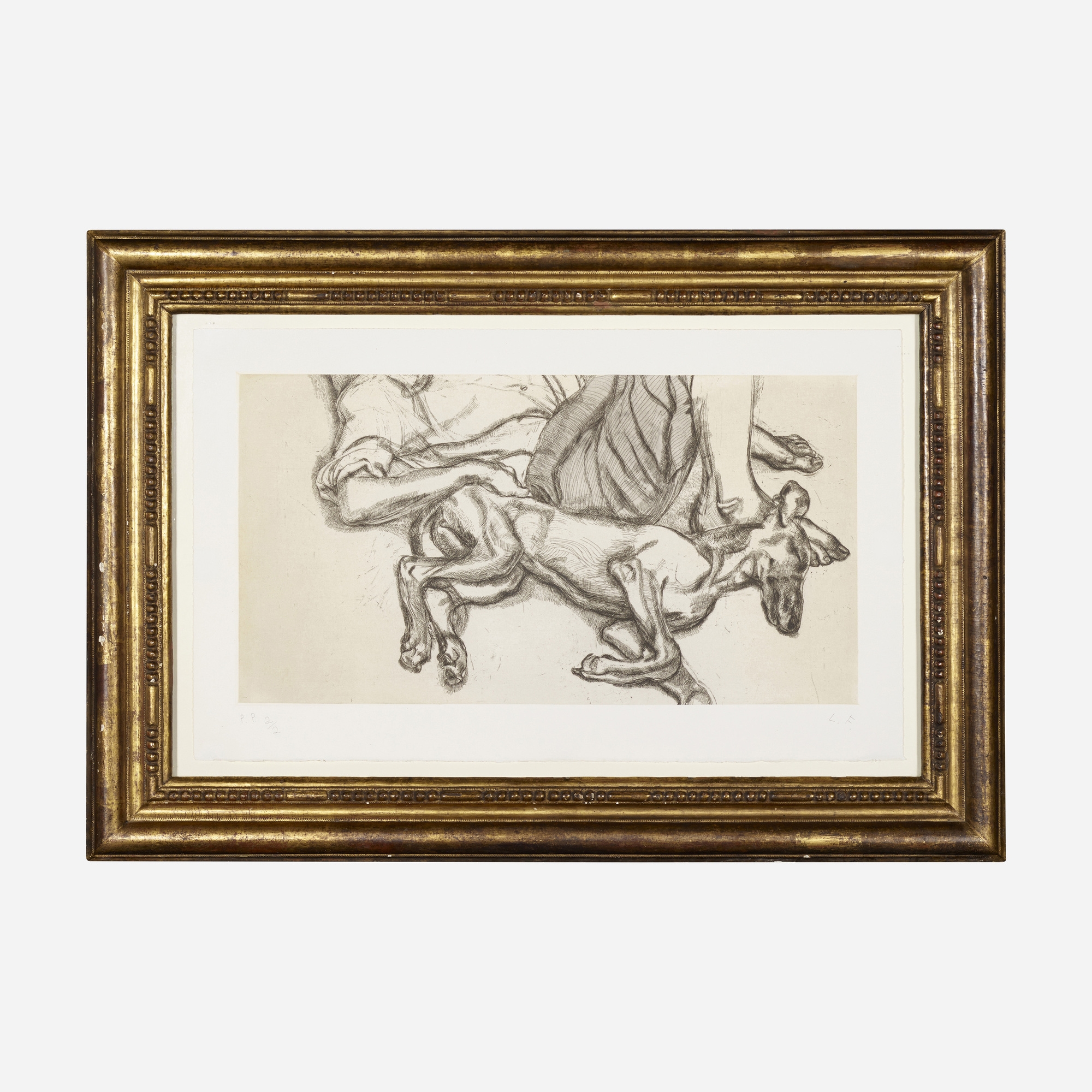 Lucian Freud | Pluto (1988) | MutualArt