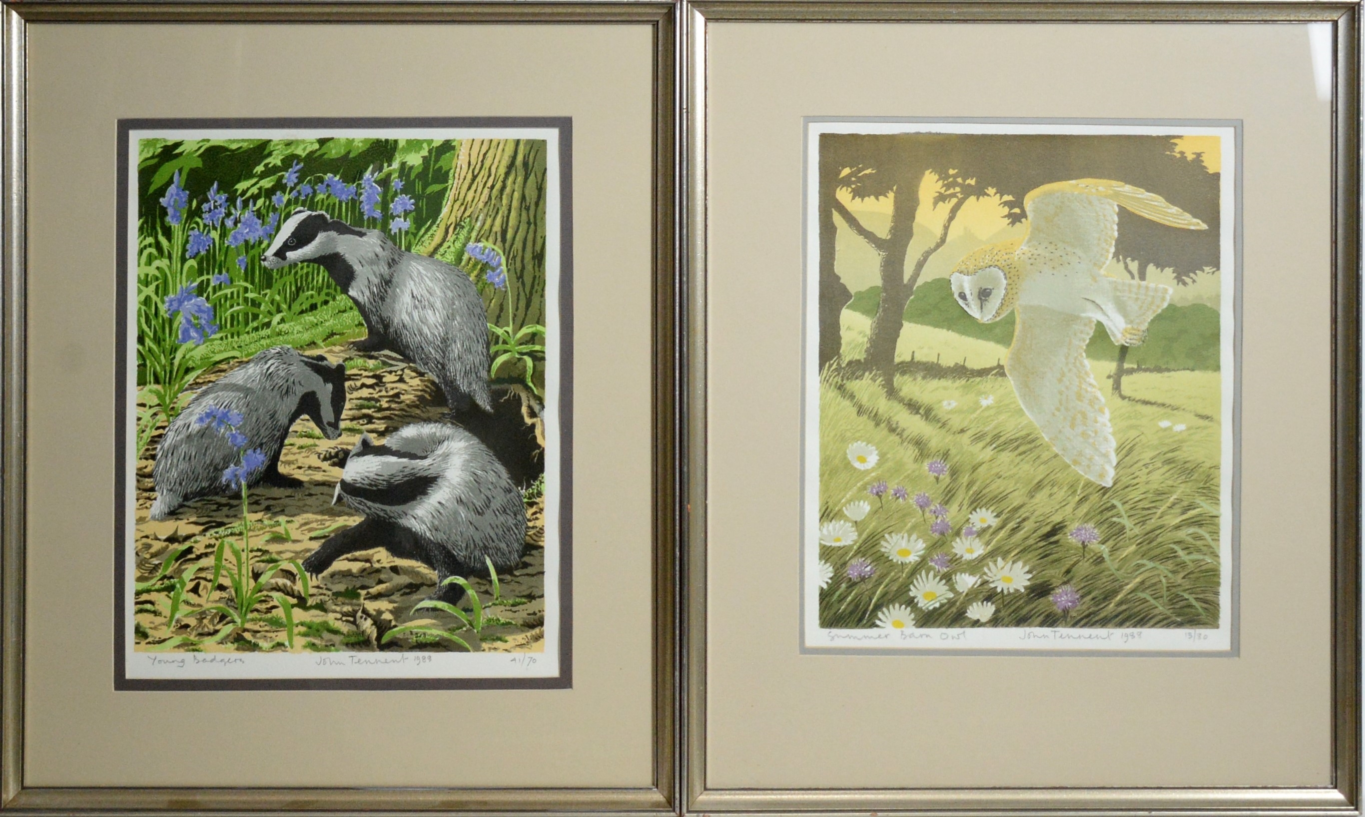 John Tennent | Two woodland animal views | MutualArt