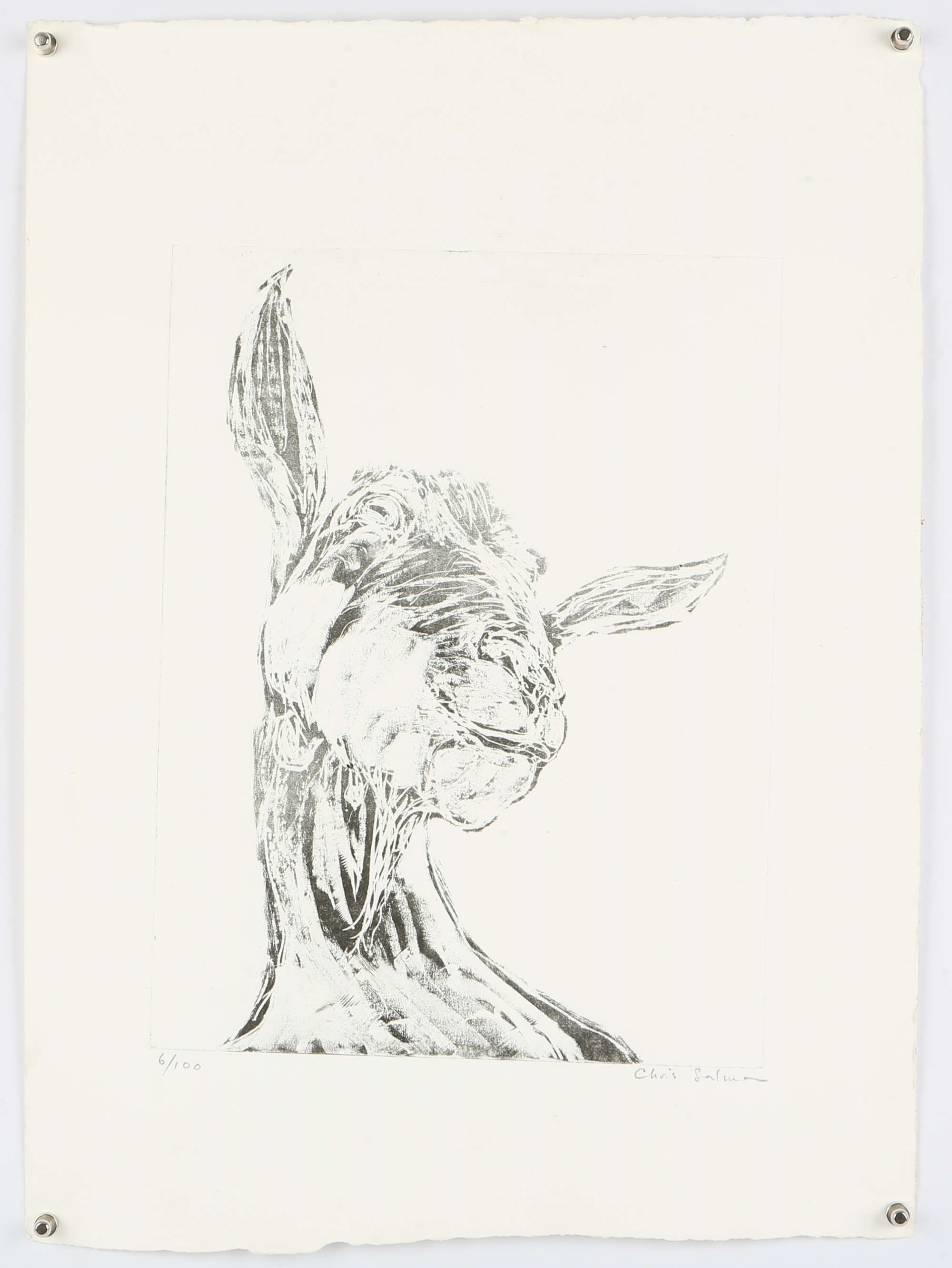 Chris Salmon | Environmental Friendly Nineteen Ninety Two | MutualArt