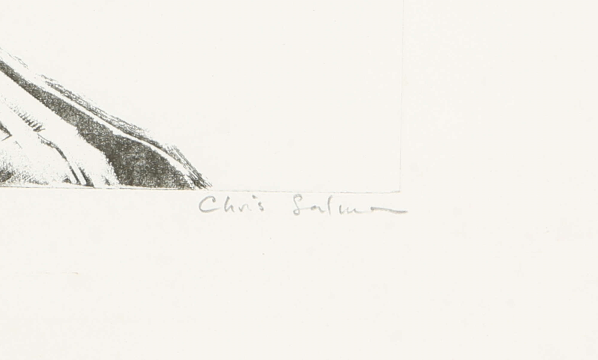 Chris Salmon | Environmental Friendly Nineteen Ninety Two | MutualArt