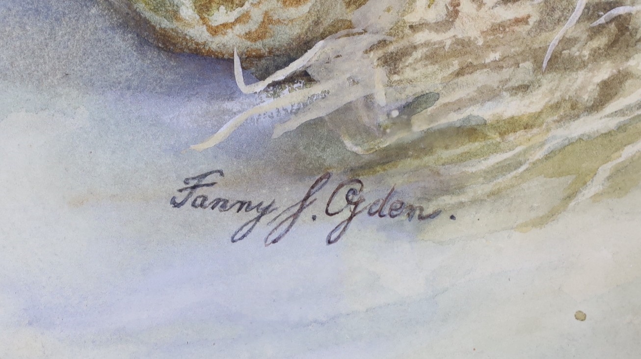 Fanny J. Ogden | Still life of fruit | MutualArt