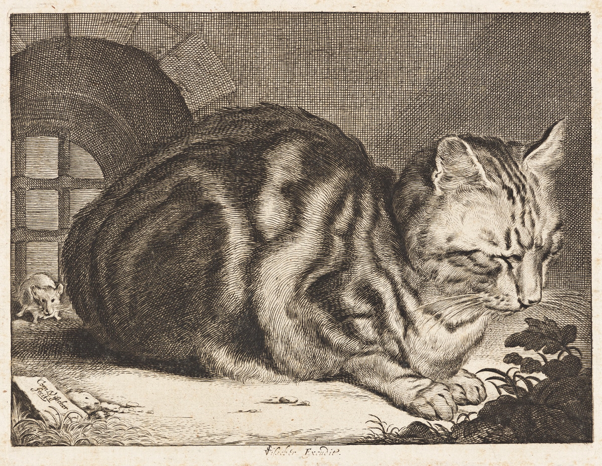 Cornelis Visscher | The Large Cat | MutualArt