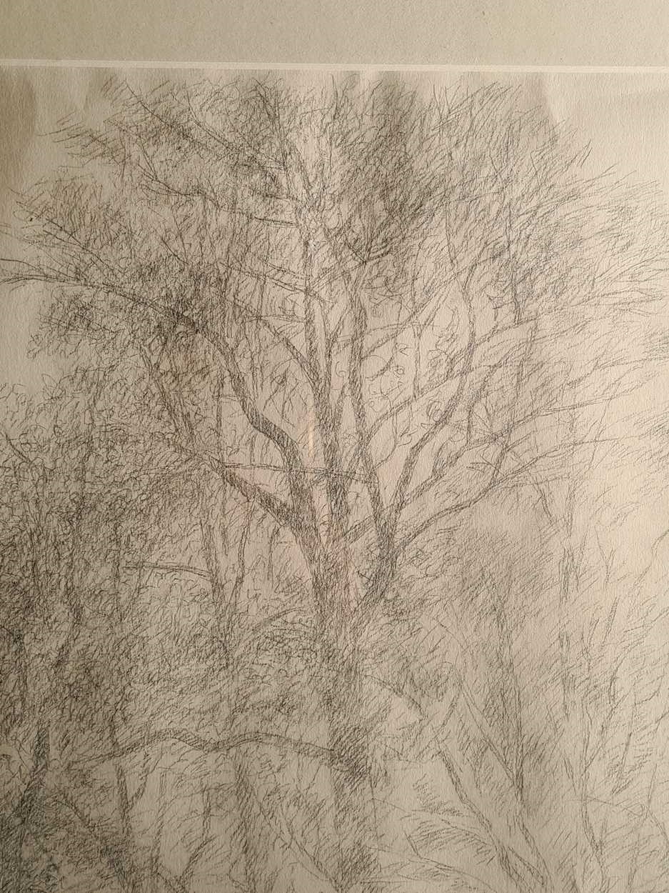 Elisabeth Vellacott | Elisabeth Vellacott | MutualArt