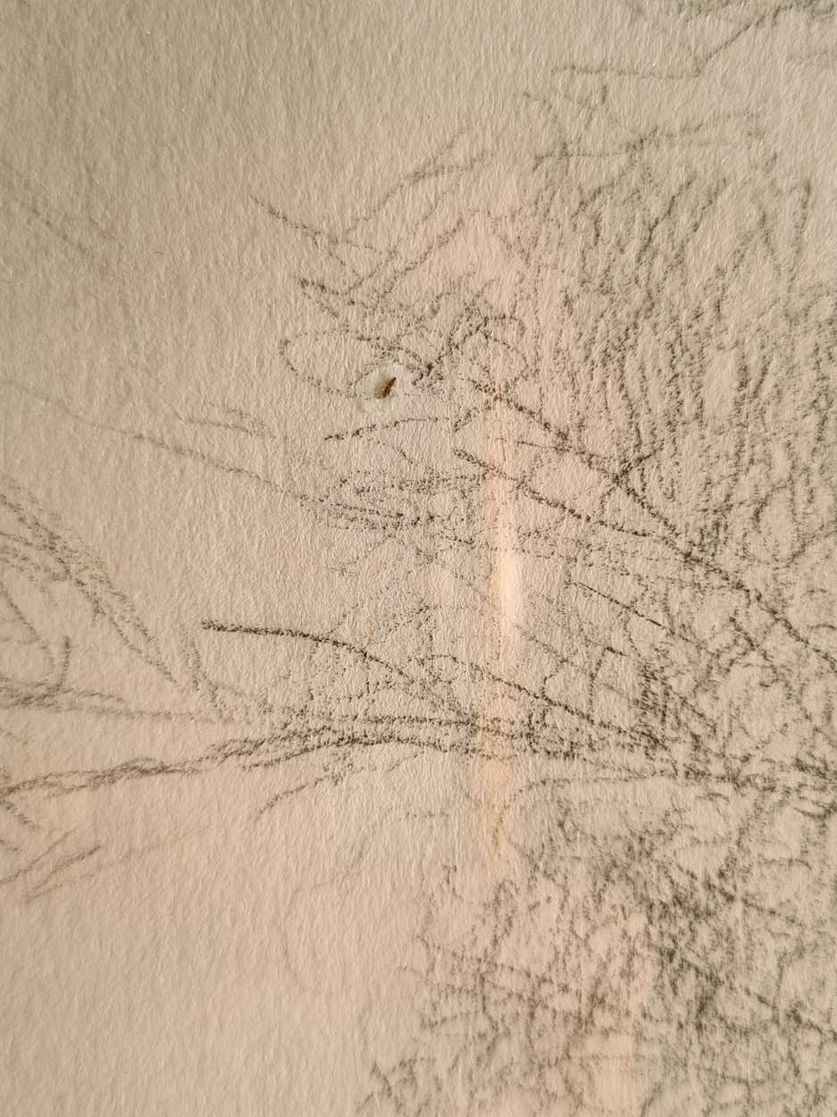 Elisabeth Vellacott | Elisabeth Vellacott | MutualArt