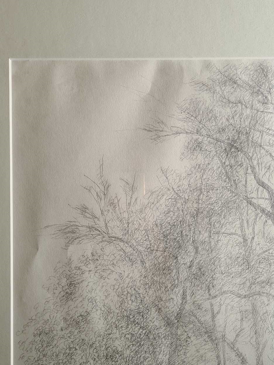 Elisabeth Vellacott | Elisabeth Vellacott | MutualArt