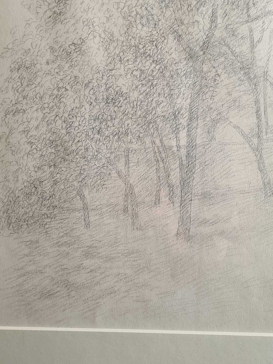 Elisabeth Vellacott | Elisabeth Vellacott | MutualArt