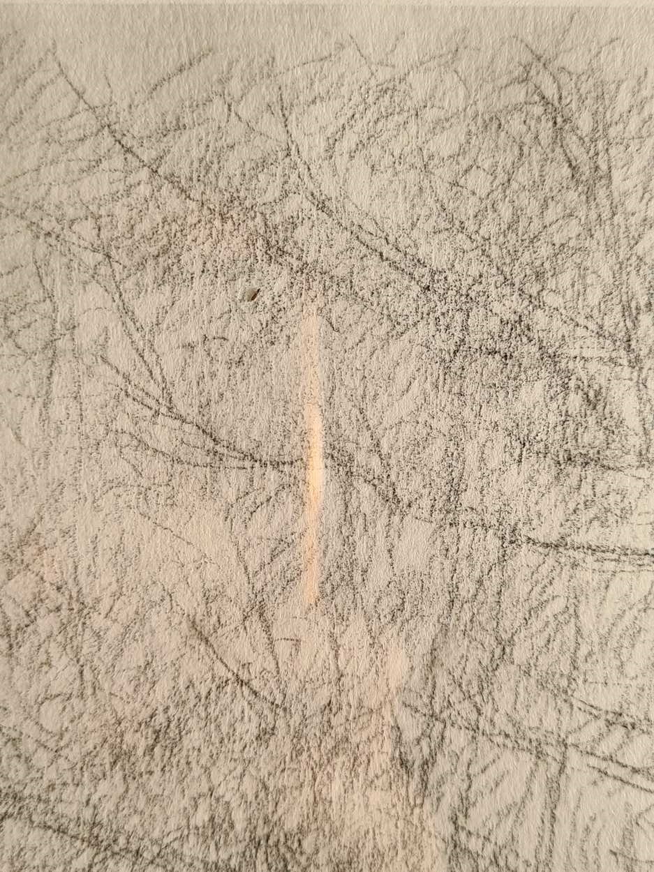 Elisabeth Vellacott | Elisabeth Vellacott | MutualArt