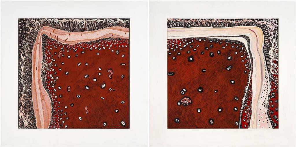 Ray Firth | Birds eye View of Combadello Weir Dame Near Moree, 2006 ...