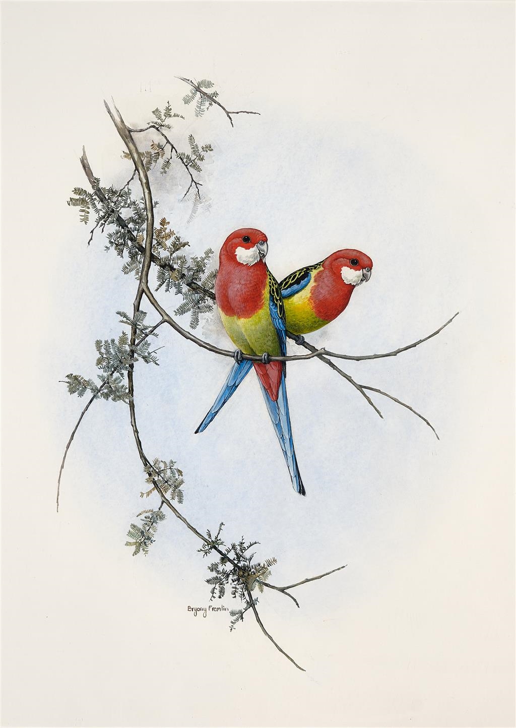 Bryony Fremlin | Rainbow Lorikeets | MutualArt