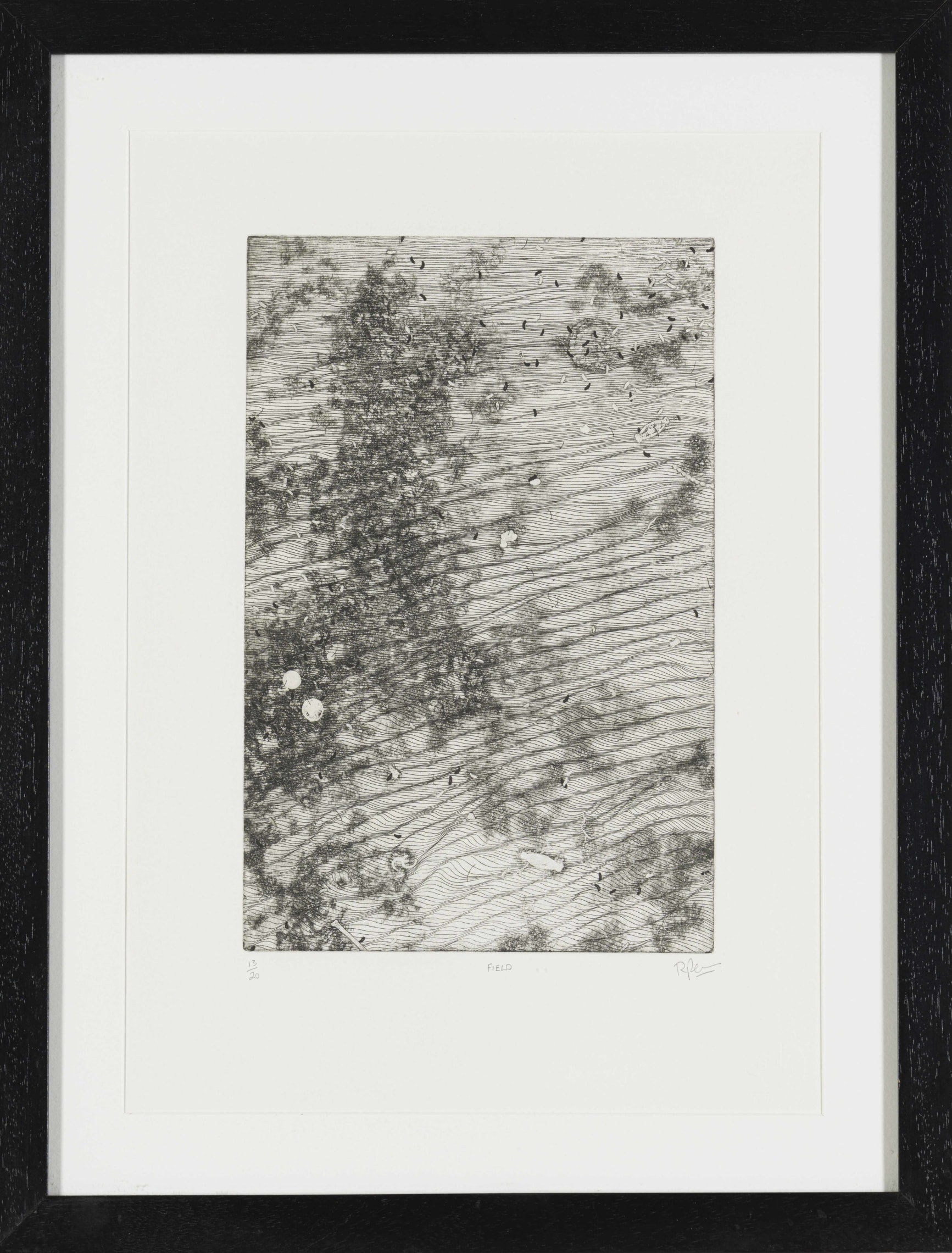 Richard Penn | Field | MutualArt