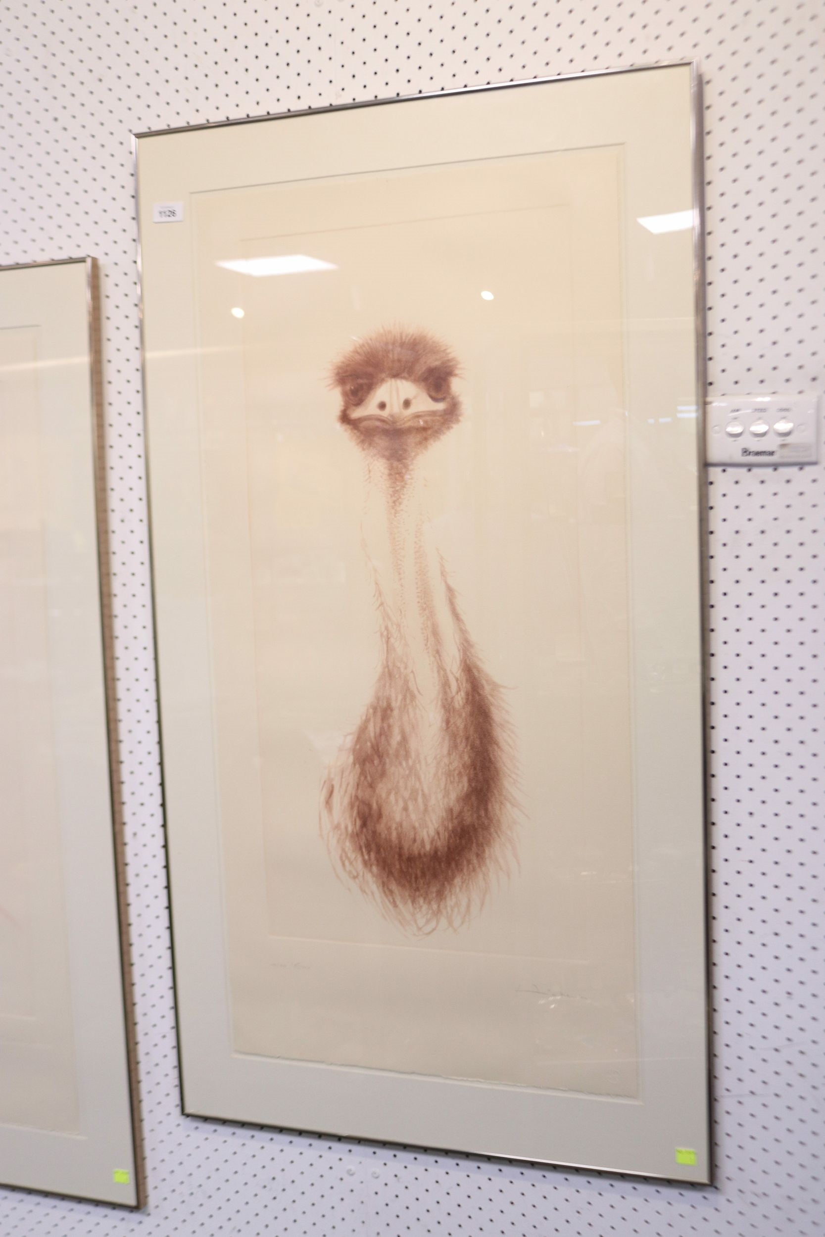 Peter Hickey | Emu | MutualArt