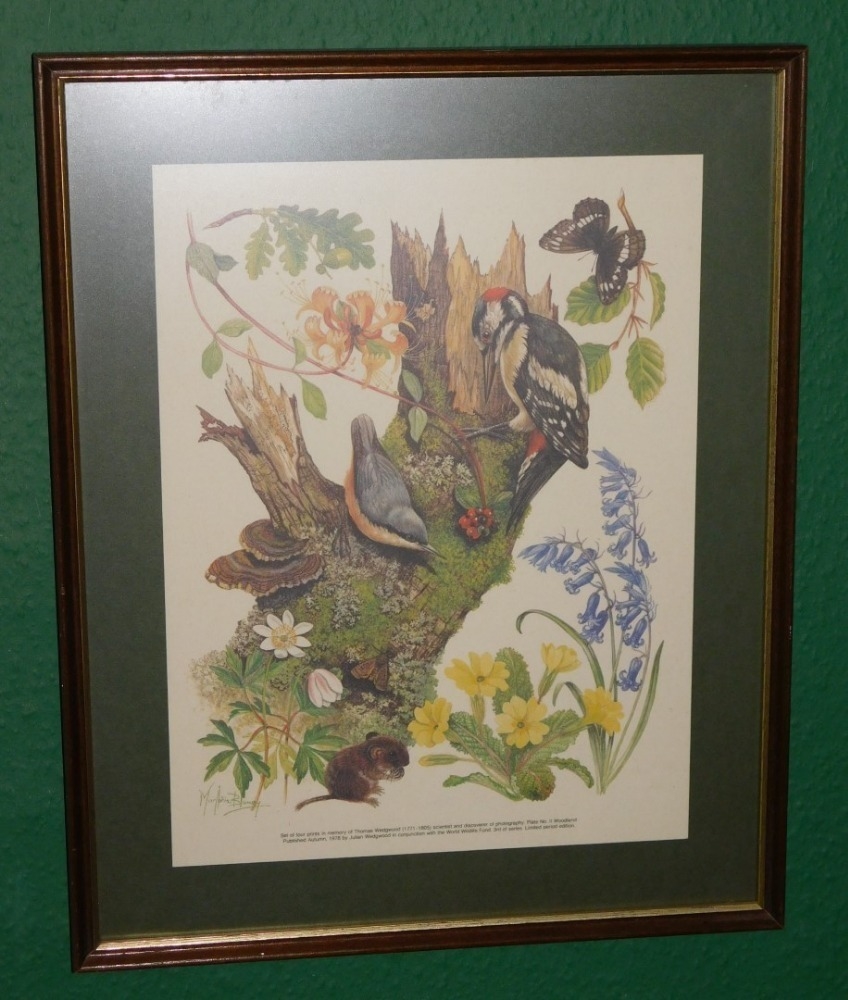 Marjorie Blamey | Set of eight coloured prints of various flora and ...