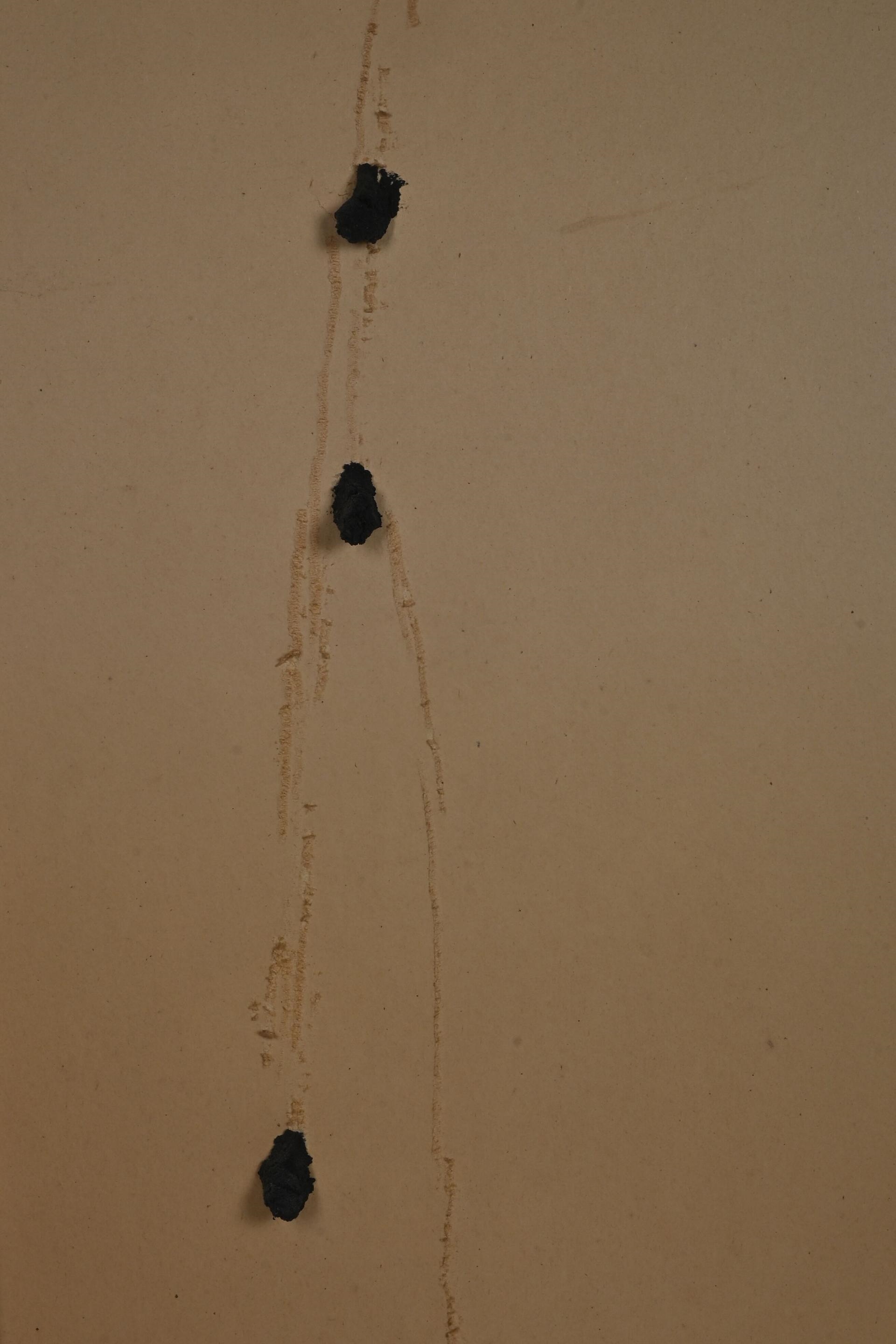 Angel Alonso | ALONSO (1923-1994) Trois charbons sur carton avec ...