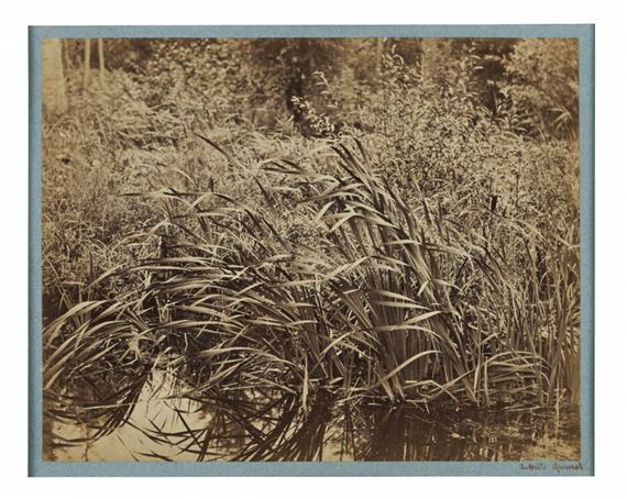 Achille Quinet | Fôret de Fontainebleau (Circa 1860) | MutualArt