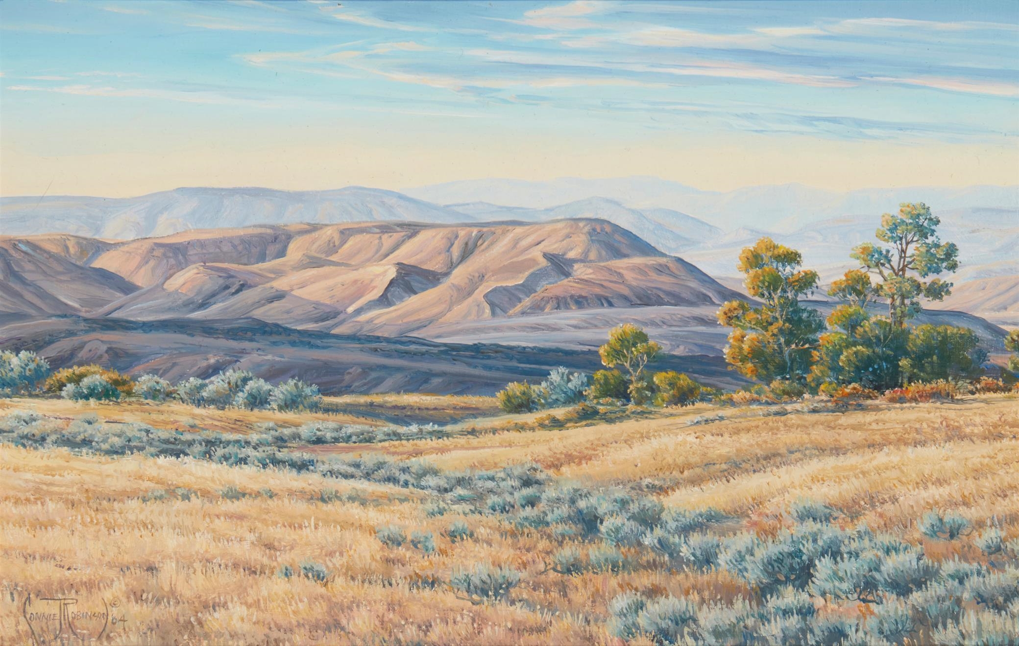 Connie Robinson | Expansive landscape with distant mountains (2004 ...