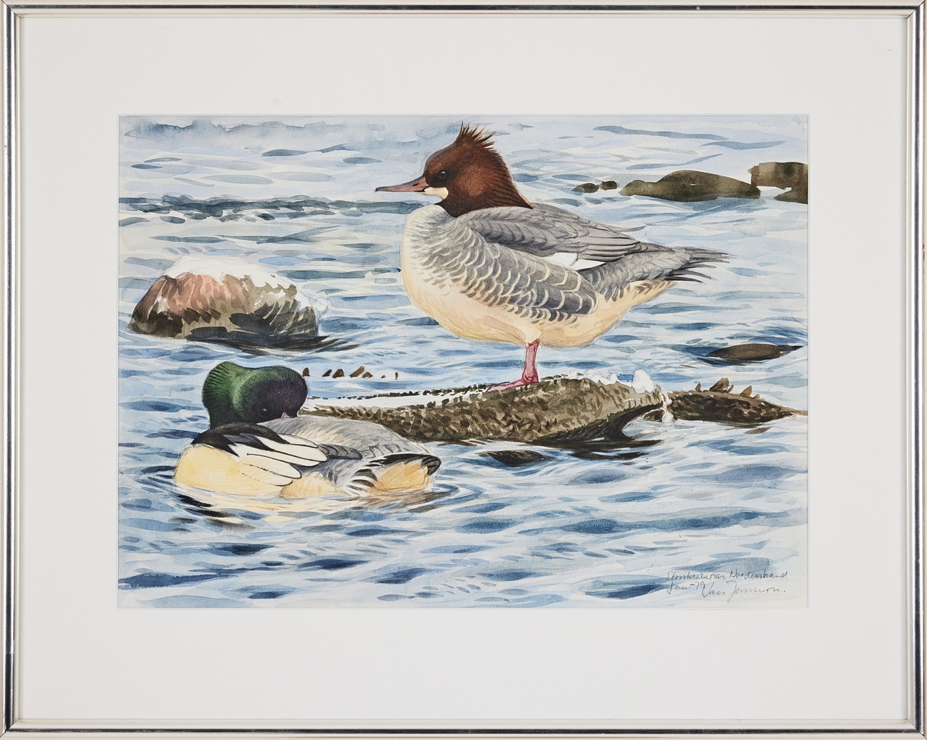 Lars Jonsson | Sjöfåglar (79) | MutualArt