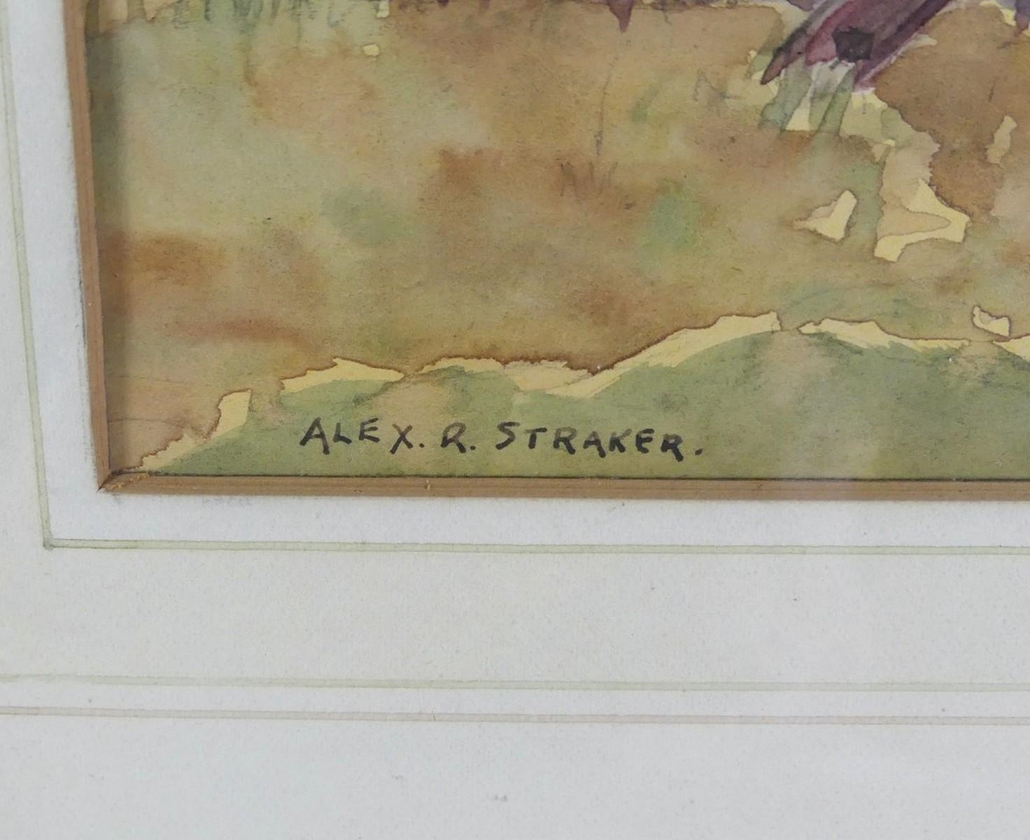 Alex R. Straker | Muskokas in the Fall | MutualArt