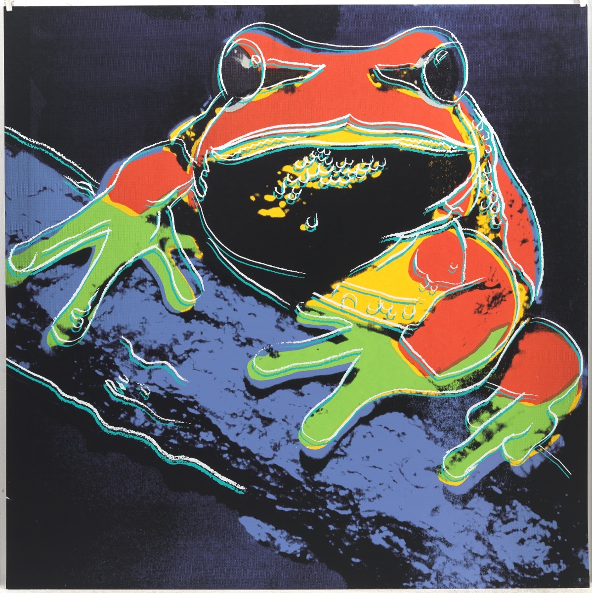 Andy Warhol | Pine Barrens Tree Frog from the Endangered Species suite ...