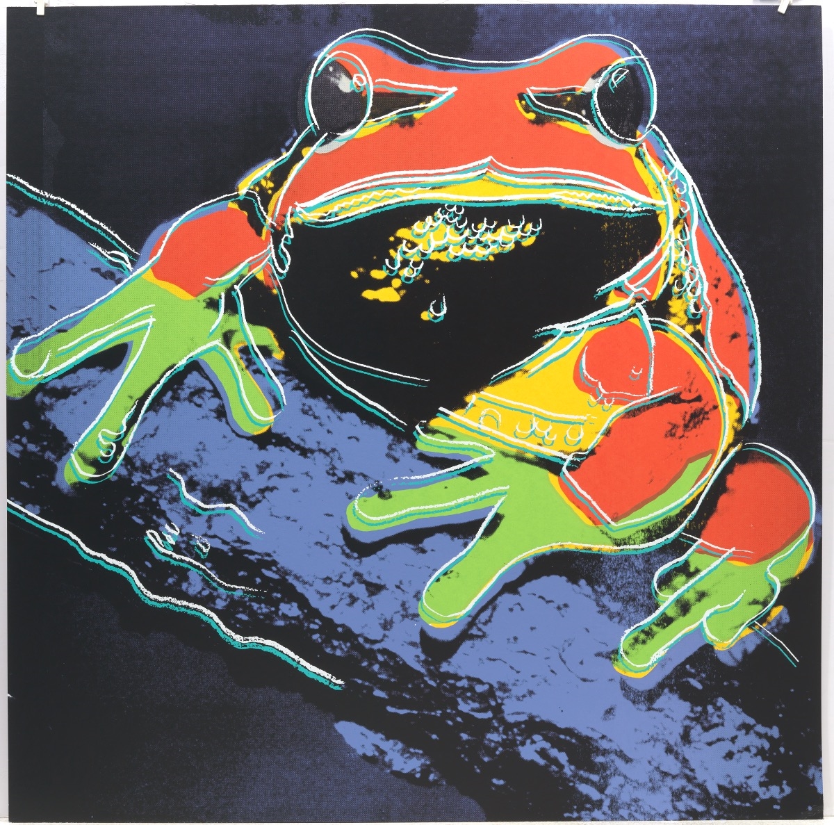 Andy Warhol | Pine Barrens Tree Frog from the Endangered Species suite ...