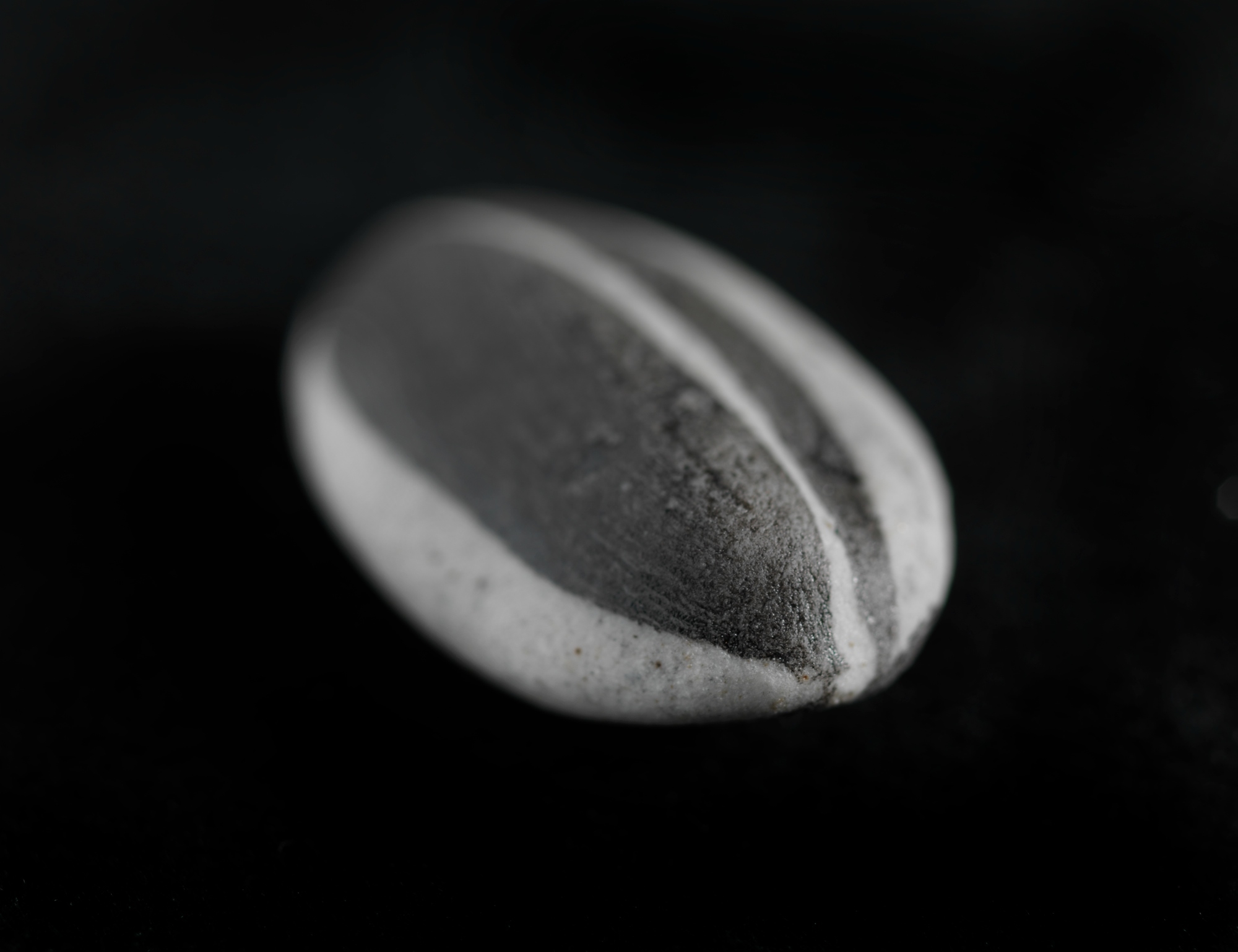 Ai Weiwei | Sunflower Seeds | MutualArt