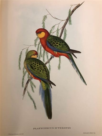 Eva Mannering | Mr Gould's tropical birds (1955) | MutualArt