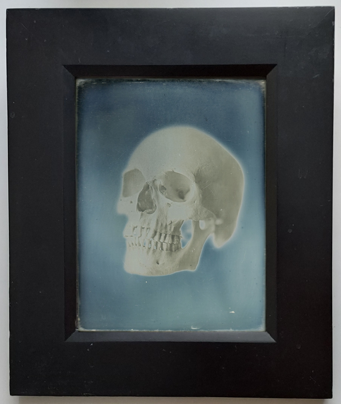 Jerry Spagnoli | SKULL WHOLE PLATE DAGUERREOTYPE by JERRY SPAGNOLI | MutualArt