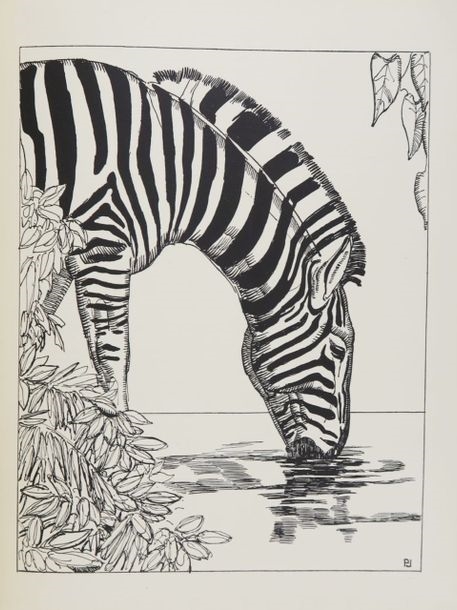 Paul Jouve | French equatorial Africa. Lands and breeds of the future ...