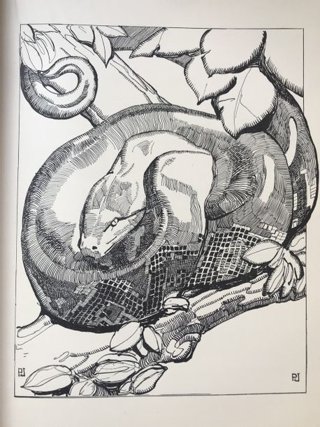 Paul Jouve | French equatorial Africa. Lands and breeds of the future ...