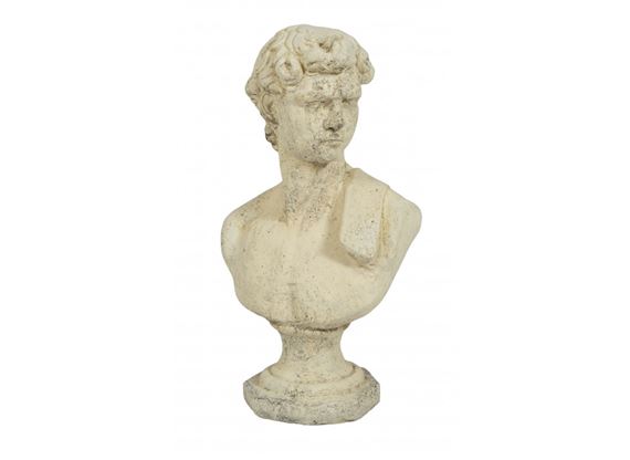 Michelangelo | Bust of David | MutualArt