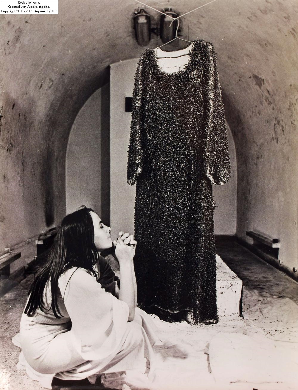 Teresa Murak | Lady's Smock | MutualArt