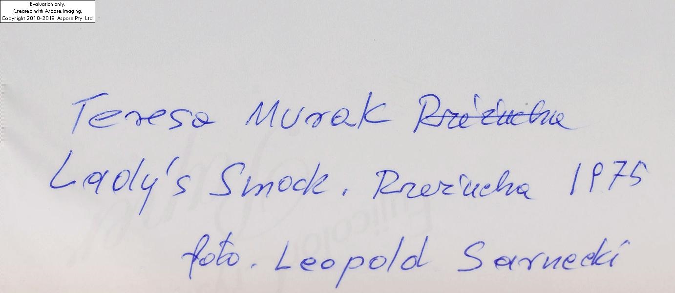 Teresa Murak | Lady's Smock | MutualArt