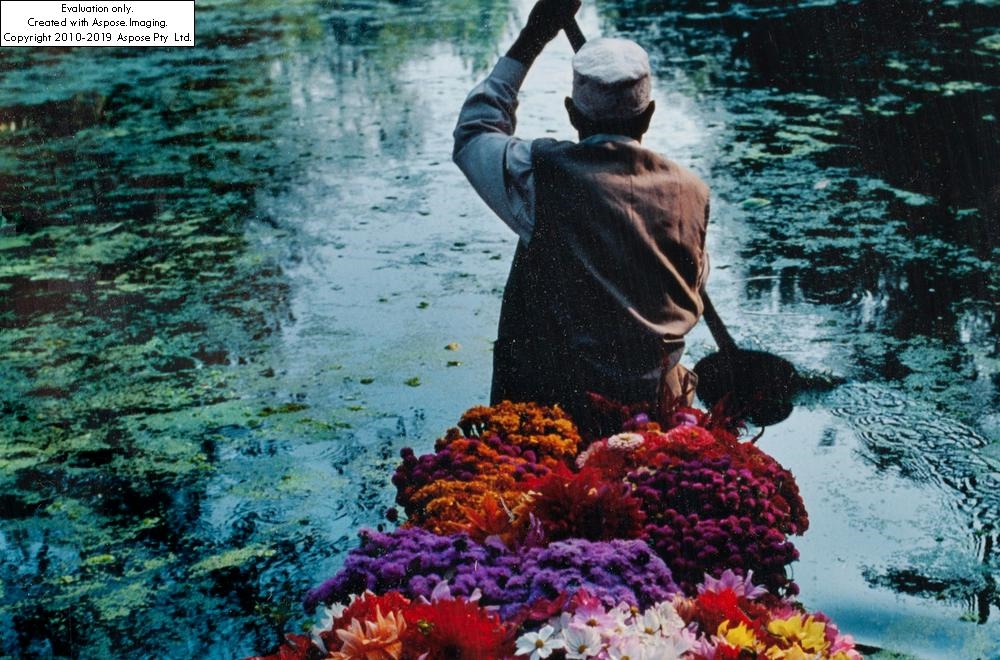 Steve McCurry | Kashmir Flower Seller (1996) | MutualArt