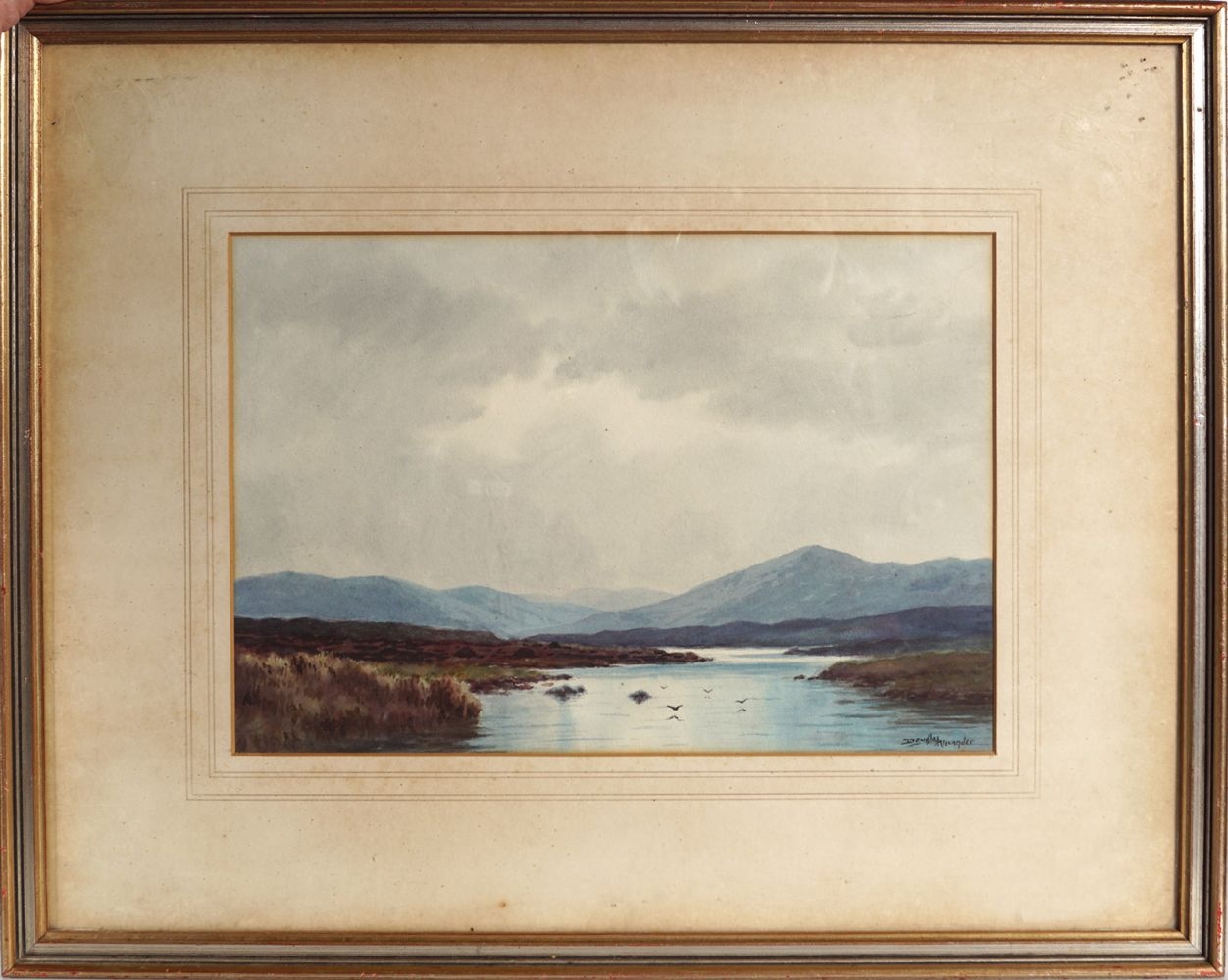Douglas Alexander | Bog near Leenane | MutualArt