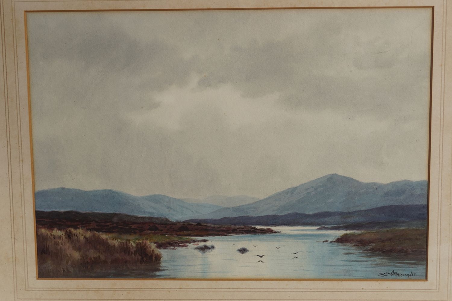 Douglas Alexander | Bog near Leenane | MutualArt