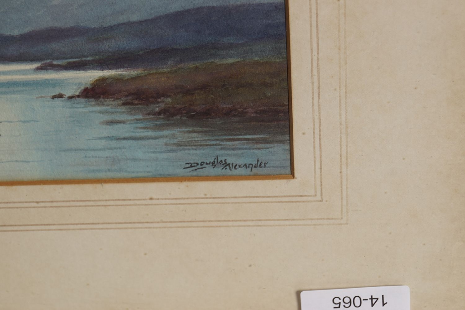 Douglas Alexander | Bog near Leenane | MutualArt