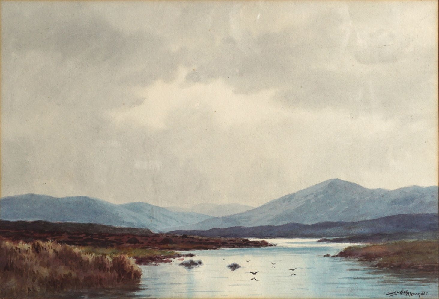 Douglas Alexander | Bog near Leenane | MutualArt