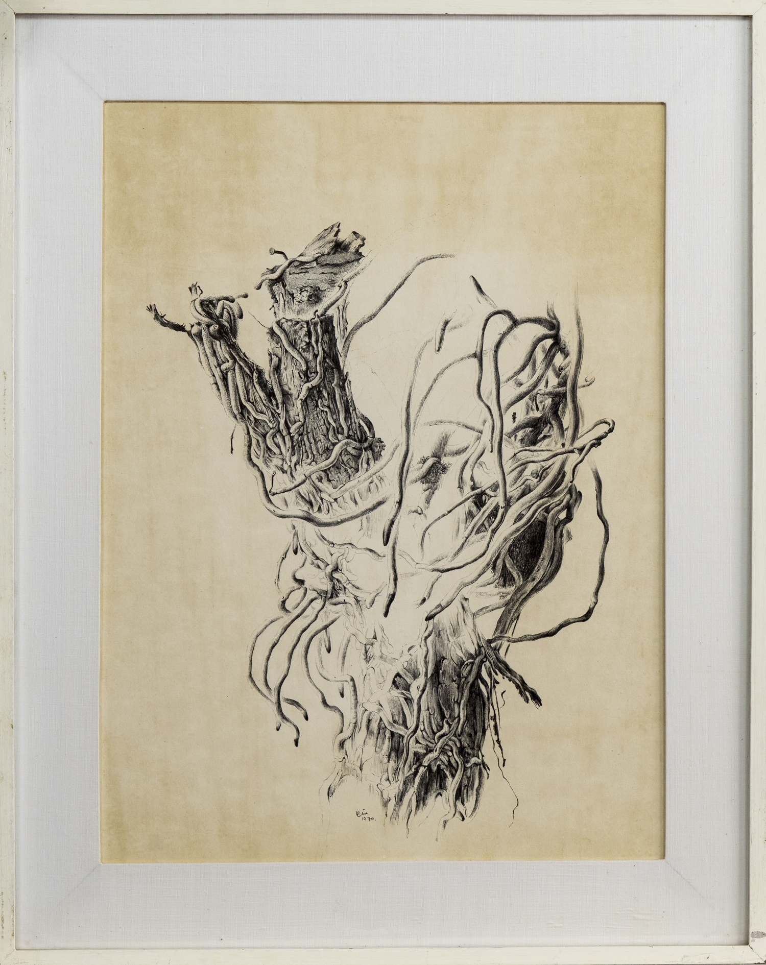 Graham Sutherland | ORGANIC STUDY (1970) | MutualArt