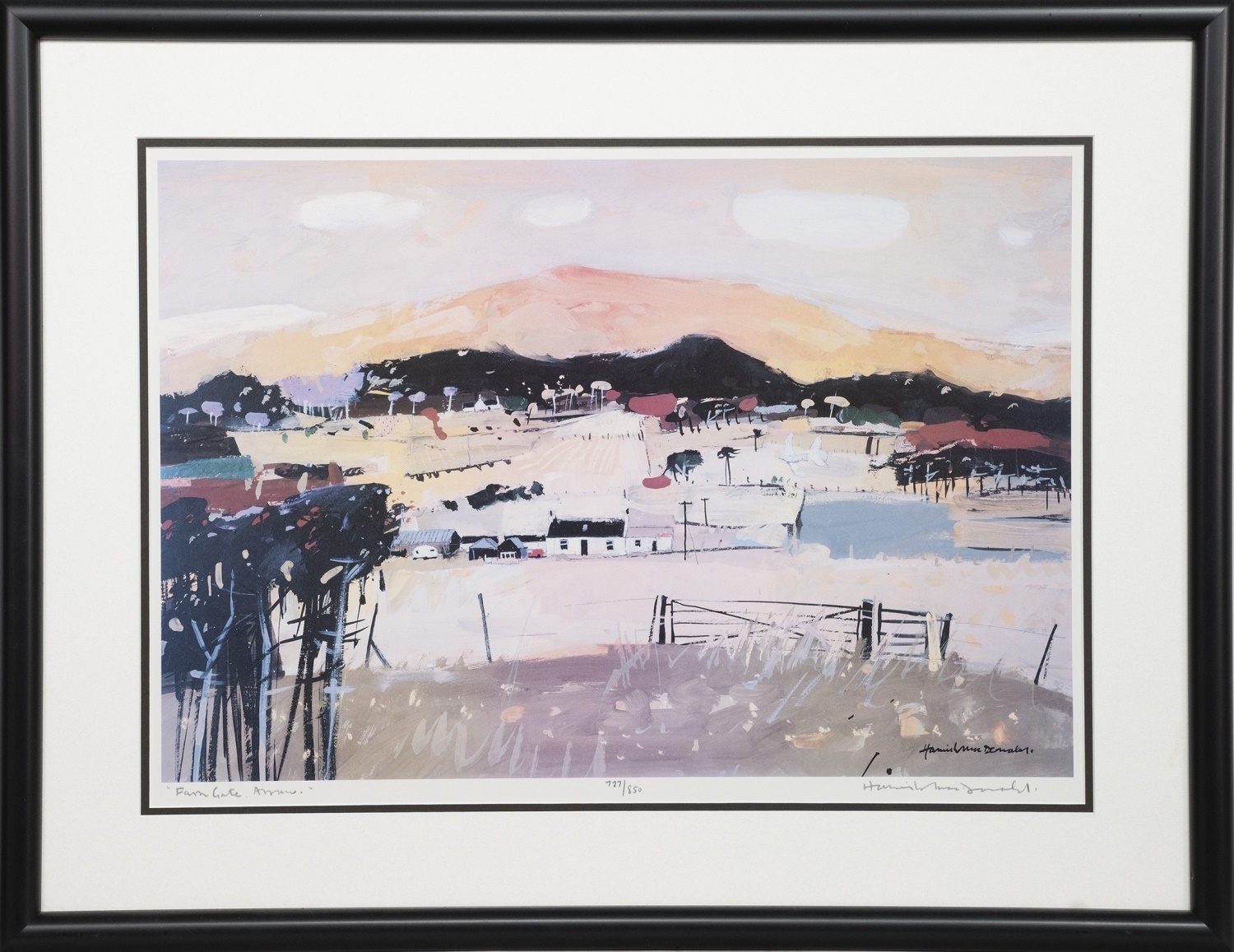 Hamish MacDonald | A SIGNED PRINT BY HAMISH MACDONALD AND ANOTHER ...