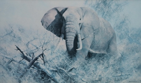 David Shepherd | Elephant | MutualArt
