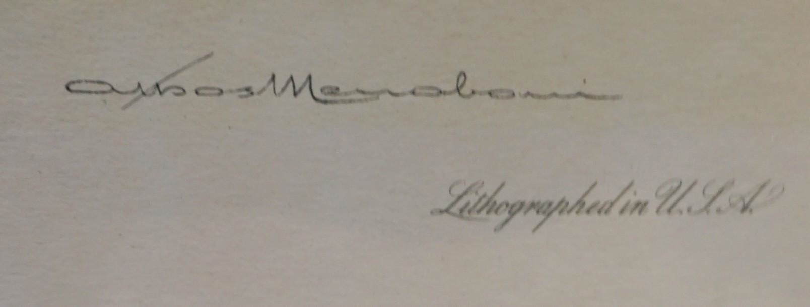 Athos Menaboni | Bufflehead and Green-Winged Teal | MutualArt