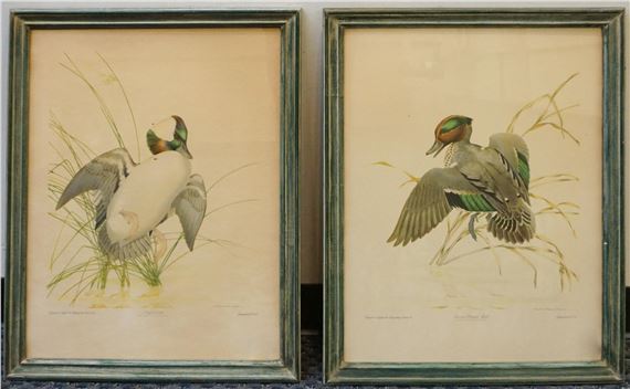 Athos Menaboni | Bufflehead and Green-Winged Teal | MutualArt