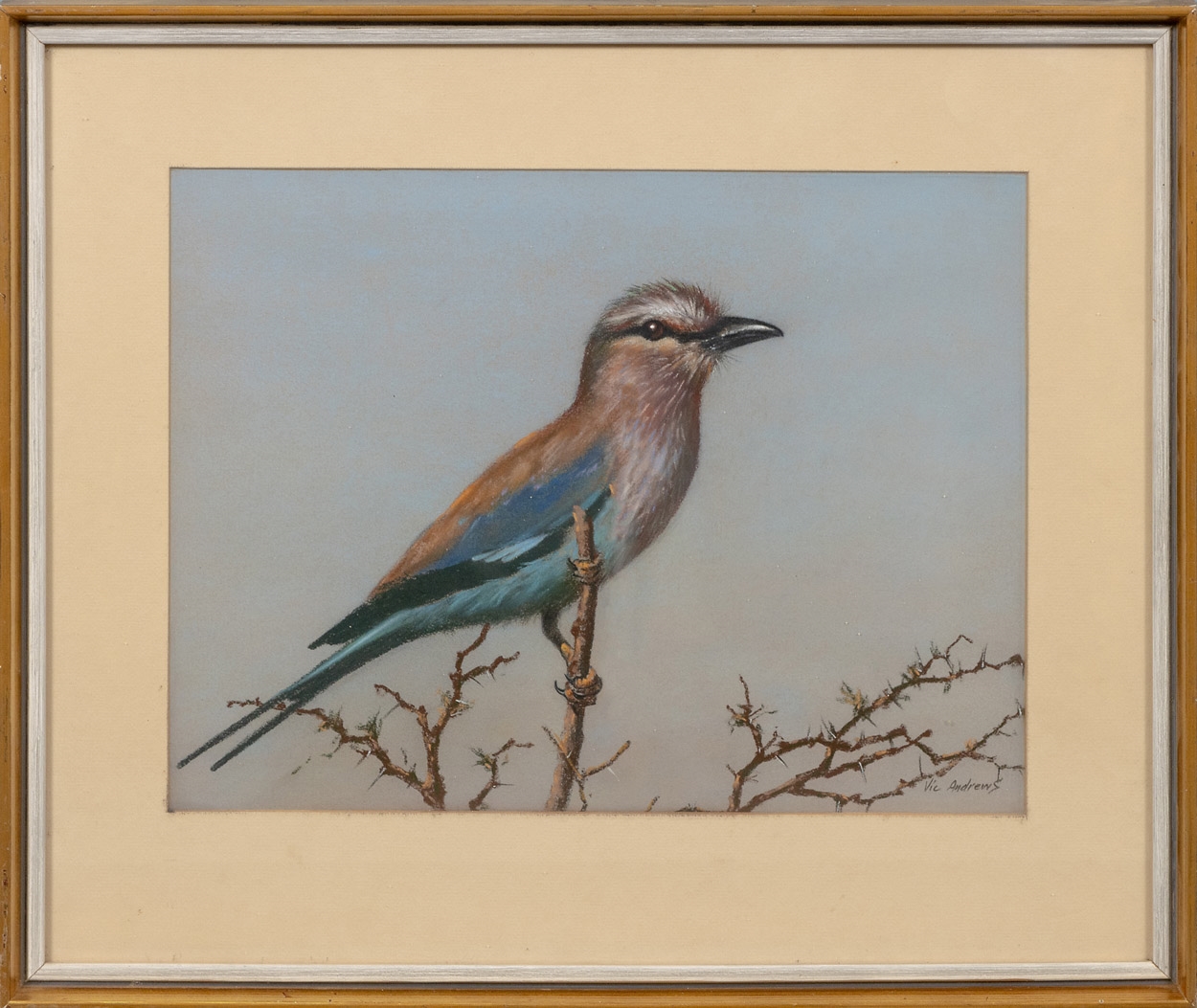 Vic Andrews | bird | MutualArt