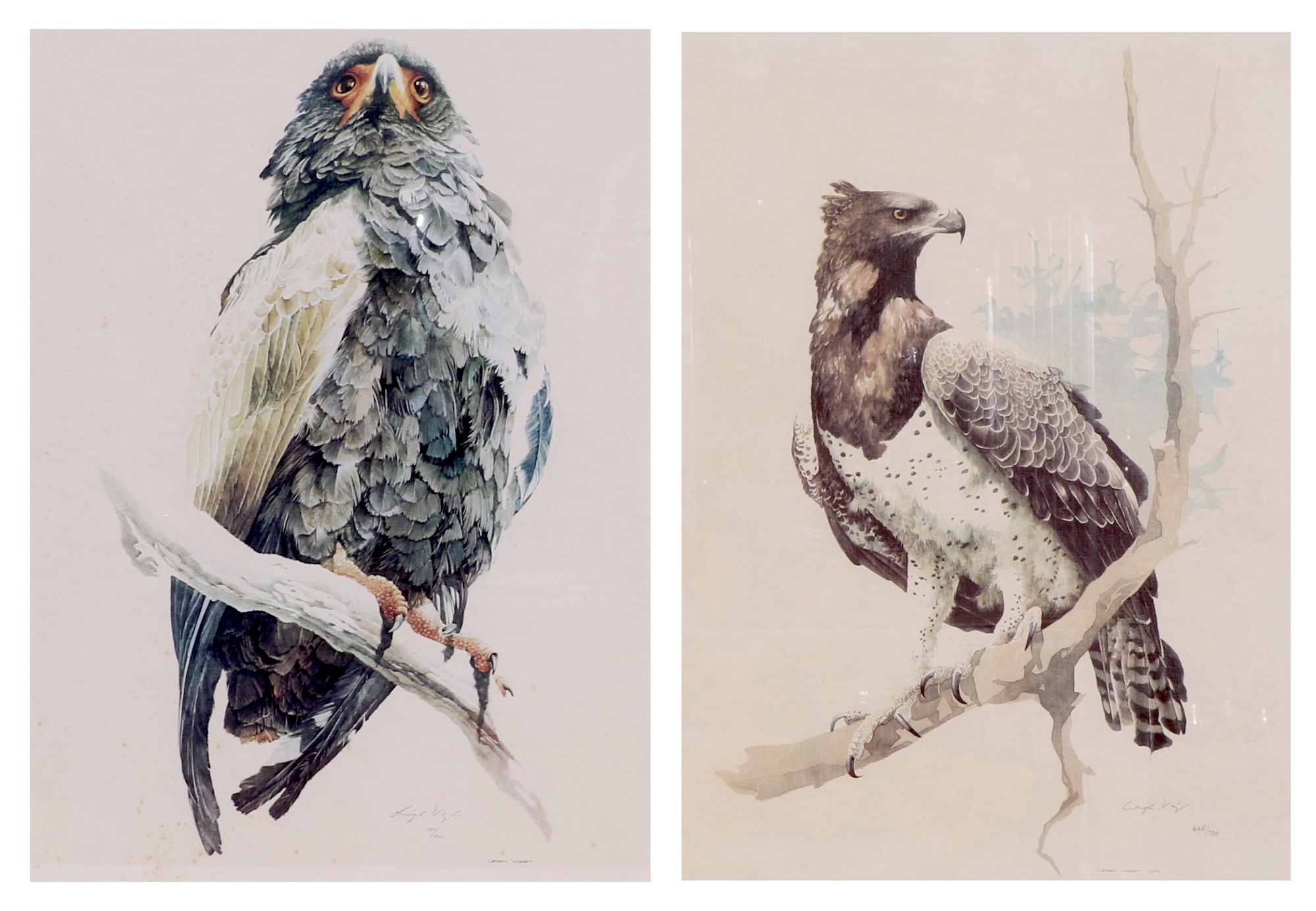 Leigh Voigt | EAGLES | MutualArt