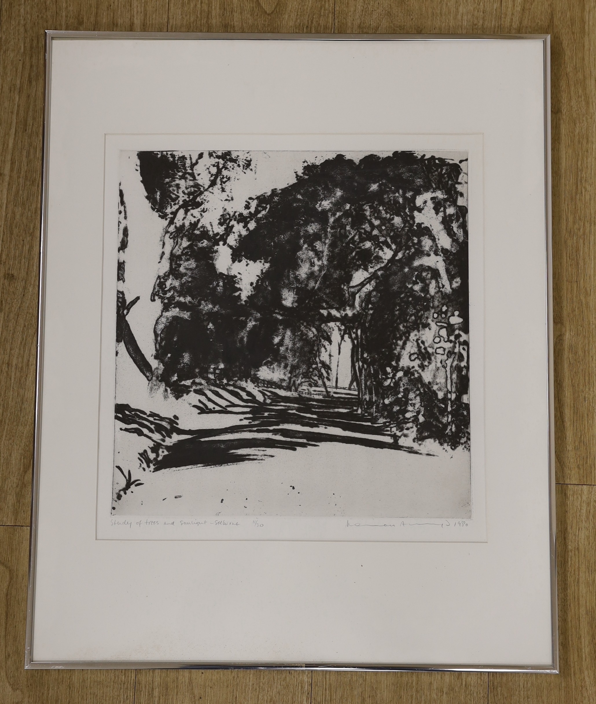 Norman Ackroyd | Study of trees and sunlight - Selborne | MutualArt