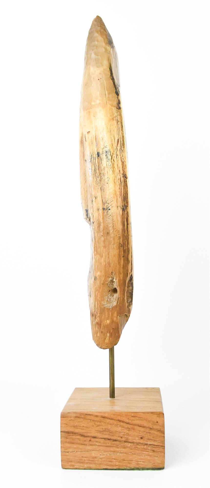 Peter Kinney | PETER KINNEY WALRUS TUSK SCRIMSHAW | MutualArt