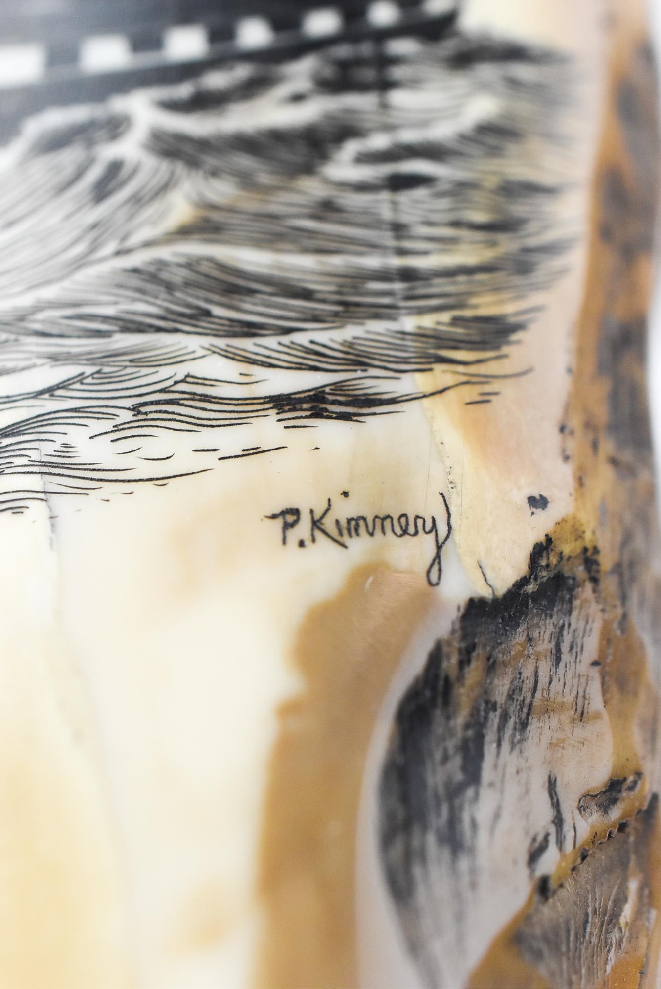 Peter Kinney | PETER KINNEY WALRUS TUSK SCRIMSHAW | MutualArt