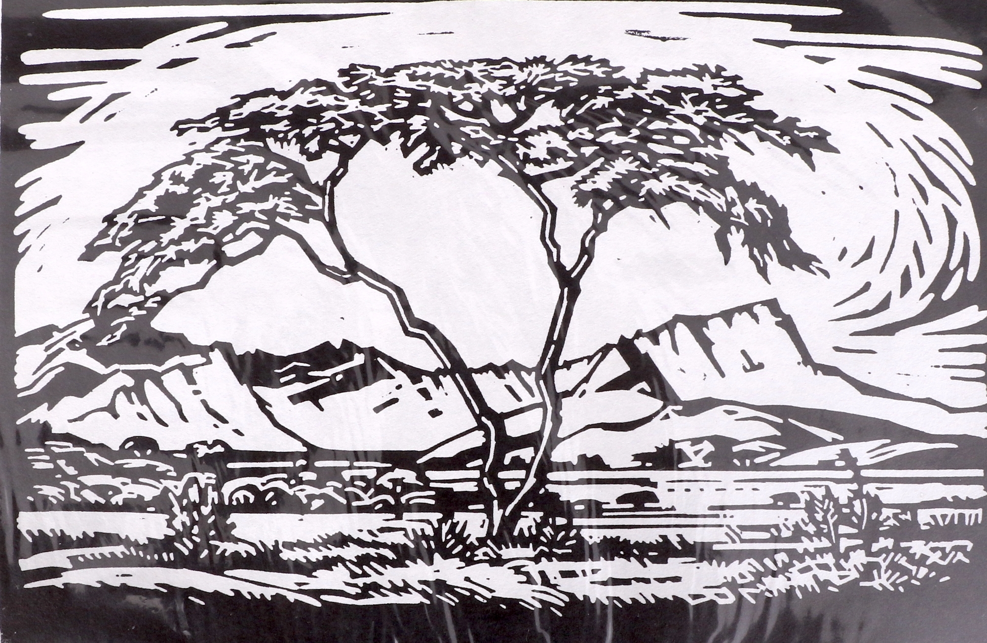 Jacob Hendrik Pierneef | LANDSCAPE SOUTPANSBERG | MutualArt