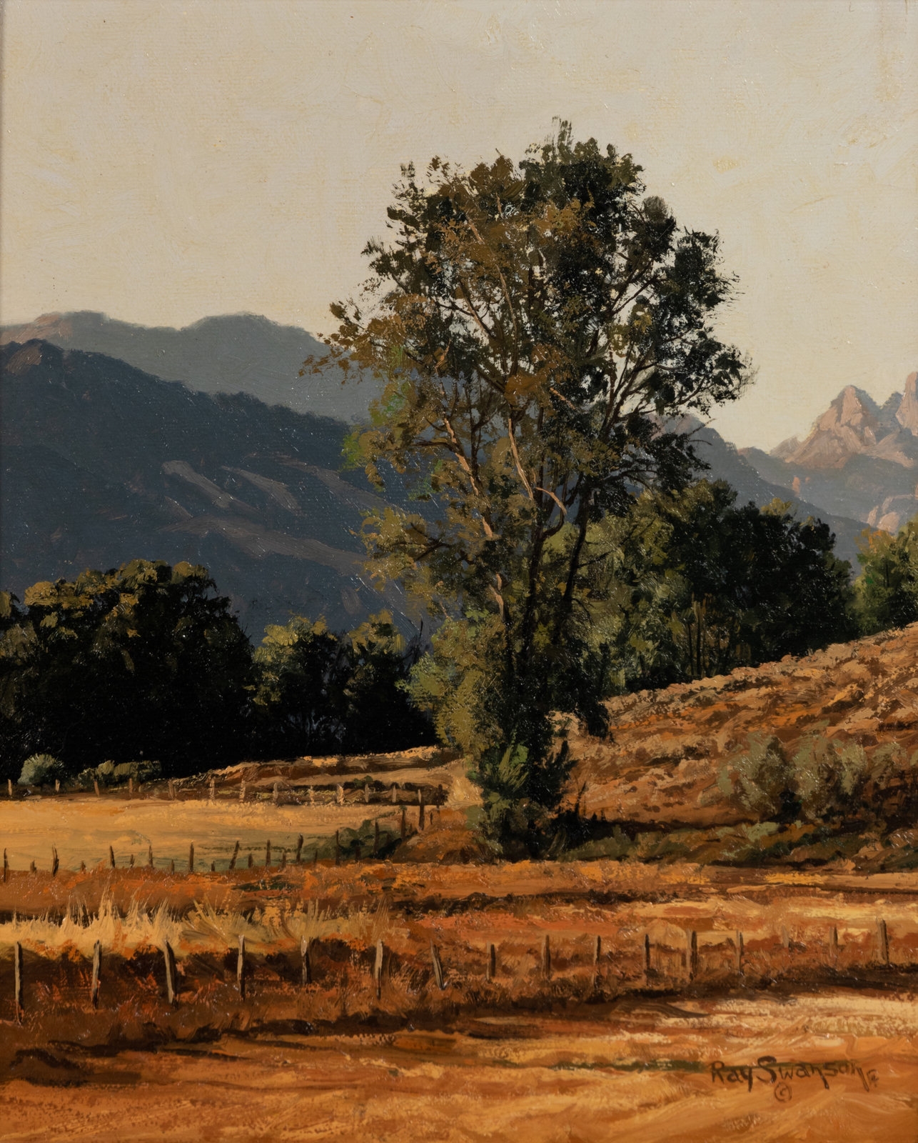 Ray Swanson | Indian Boy | MutualArt