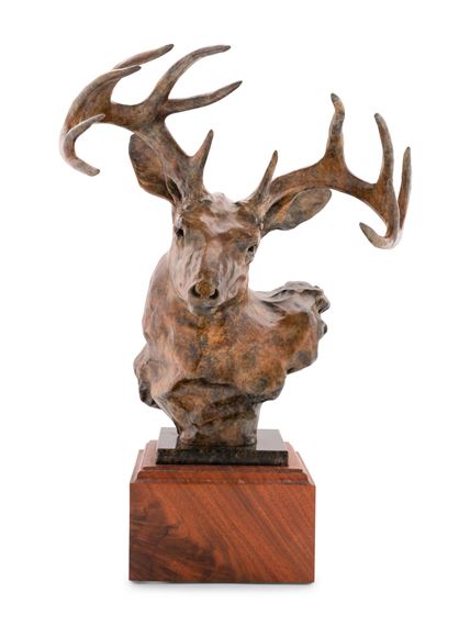 Sherry Sander | Elk Bust | MutualArt