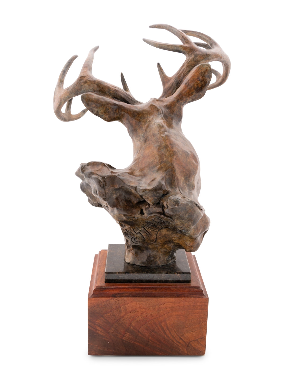 Sherry Sander | Elk Bust | MutualArt